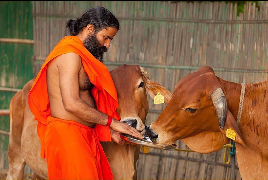 Baba Ramdev (Ramkrishna Yadav) Net Worth 2023: Age, Education ...