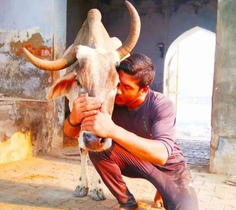 Gau Bhakt Sanjay Singh Pahalwan (Desi Tarzan) Biography, Family, Award ...