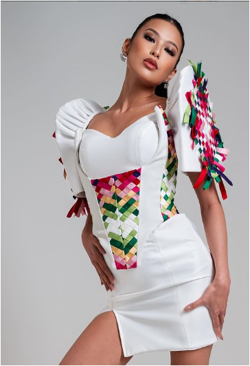 Michelle Dee (Miss Universe) – Age, Net Worth, Height, Parents ...