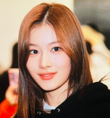 Sana Twice (Japanese Singer) – Age (44), Family, Net Worth, Boyfriend ...