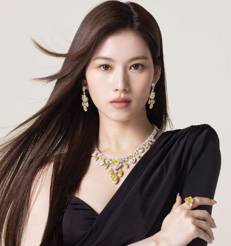 Sana Twice (Japanese Singer) – Age (44), Family, Net Worth, Boyfriend ...