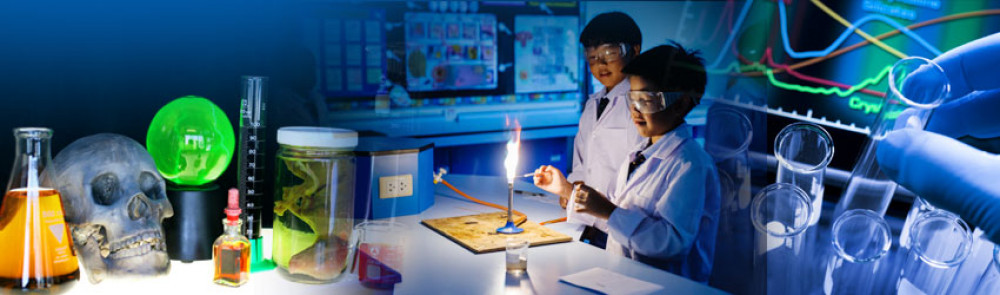 Metropolitan School, Gorakhpur