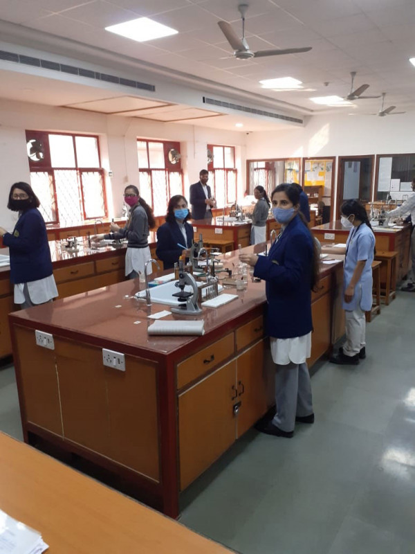 Amity International School, Noida (UP)