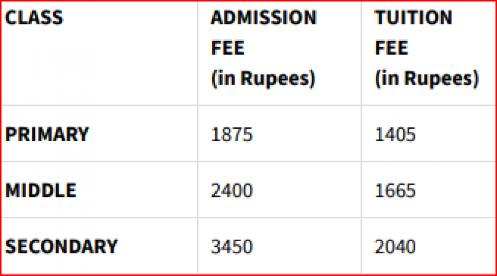 Holy Public Junior College Bodla, Sikandra Rd, Agra (UP)