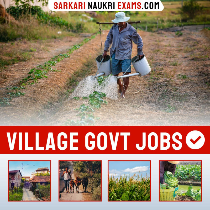 Village Govt Job 2025 | Village Sarkari Naukri Vacancy 2025-24