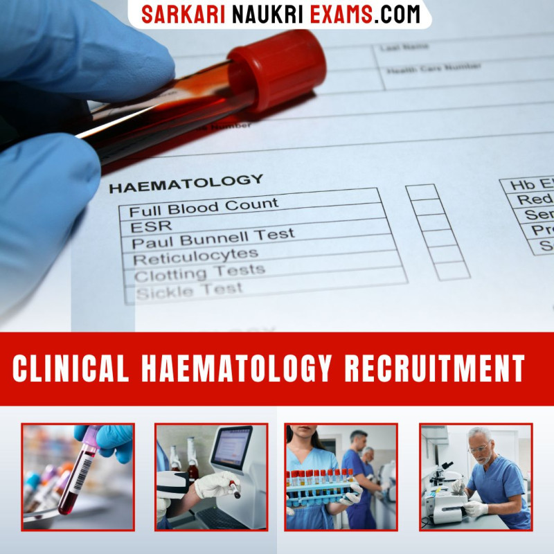 Clinical Haematology Recruitment | Govt Jobs Clinical Haematology ...