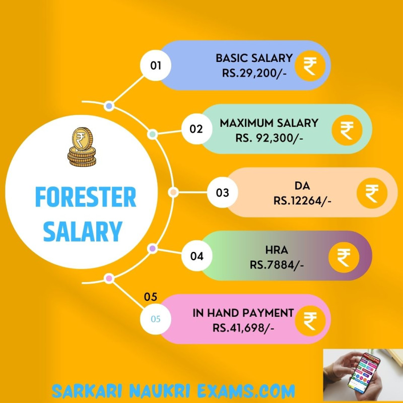 Forester Salary 2025 | Monthly Payment, In Hand Amount