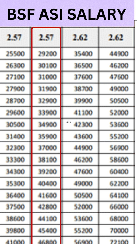 BSF ASI Salary 2025 Monthly Income, Grade Pay & Salary Slip