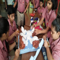 Gallery | Images - Brightland School, Ghaziabad (UP)