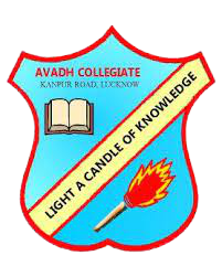 Fee Structure- Avadh Collegiate, Lucknow (UP) for year 2025-2026