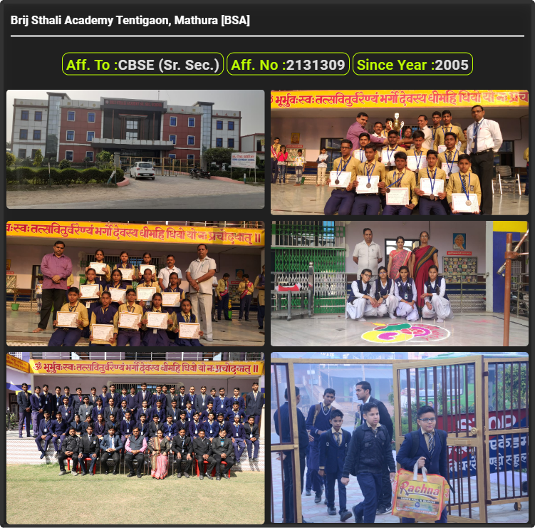 Brij Sthali Academy, Mathura