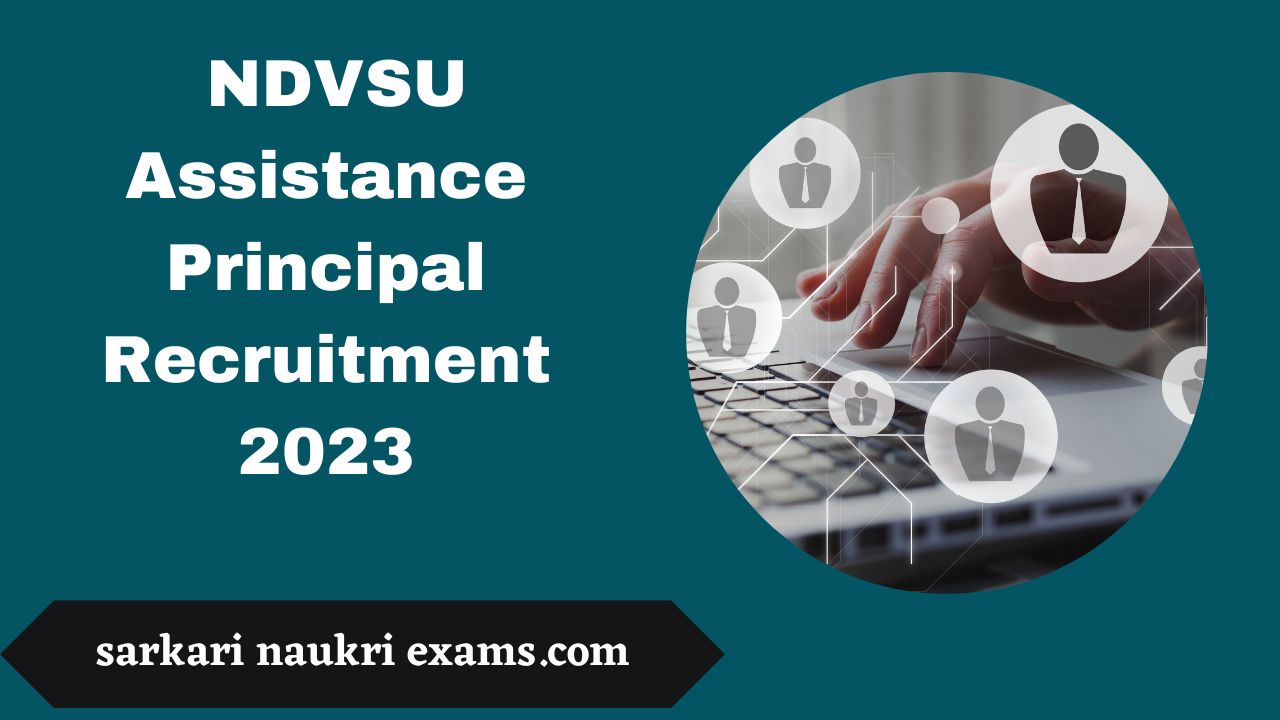 NDVSU Assistance Principal Recruitment 2023 | Online Form | 20 Vacancy ...