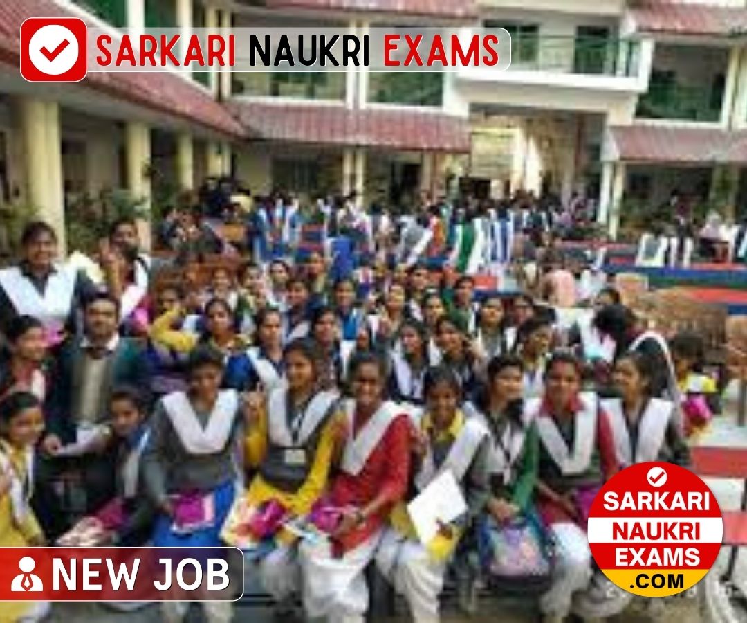 BSEB Senior Secondary Recruitment 2024 Last Date 02 Jan Apply Online BSEB Senior Secondary Recruitment 2024 Last Date 02 Jan Apply Online