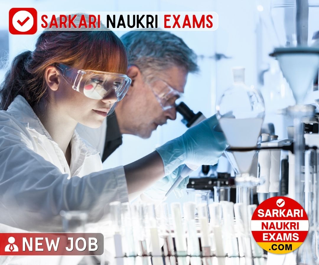 Wildlife Institute of India (WII) Project Assistant Recruitment 2024 ...